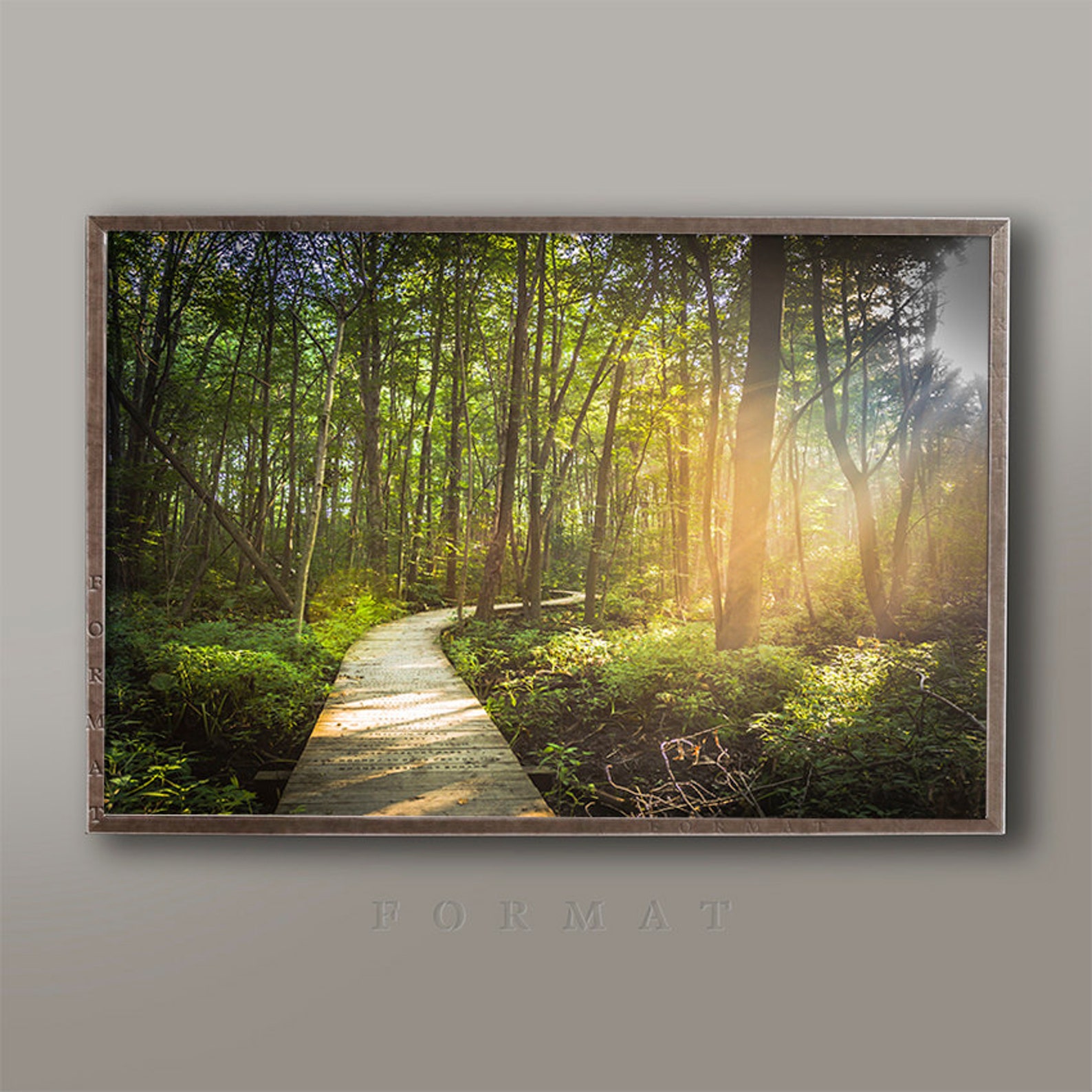 HEAVENLY PATH, Nature Photography, Walk in the Woods, Into the Wild ...