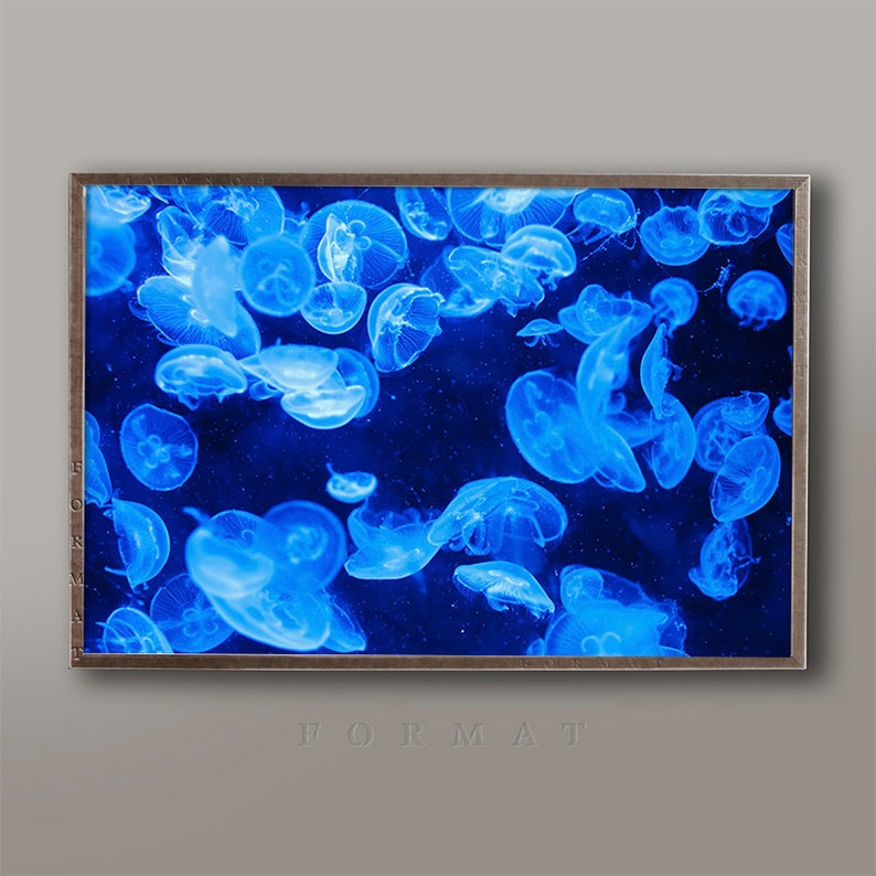 JELLYFISH ART, Nautical Art, Beach Decor, Coastal Chic, Ocean Art ...