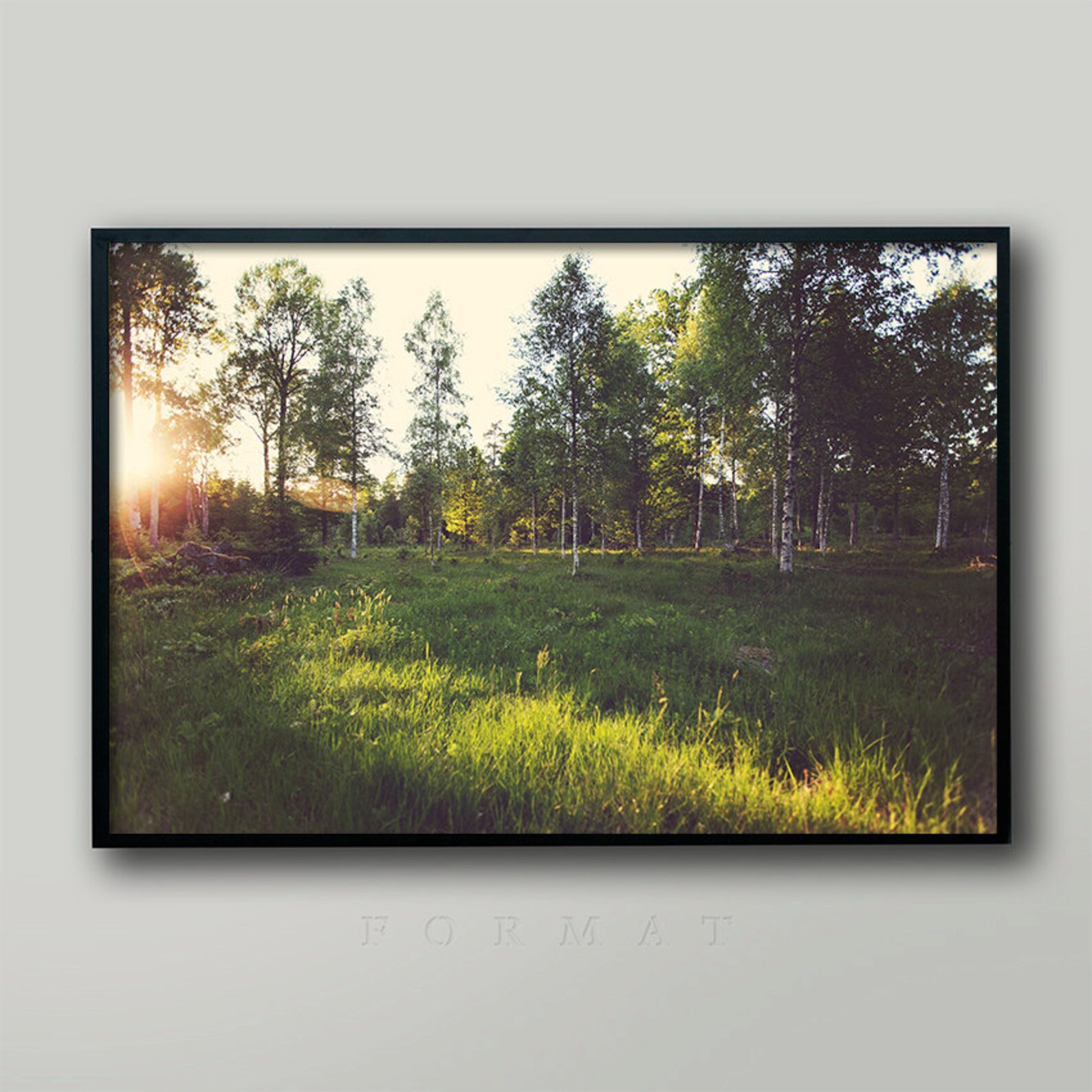 FADING DAYLIGHT, End of Summer, Nature Photo, Landscape Photography ...