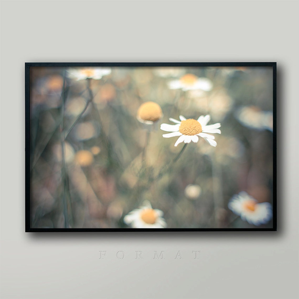 DAISY PRINT, Nature Art, Flower Photo, Floral Print, Farm Photo, Fine ...