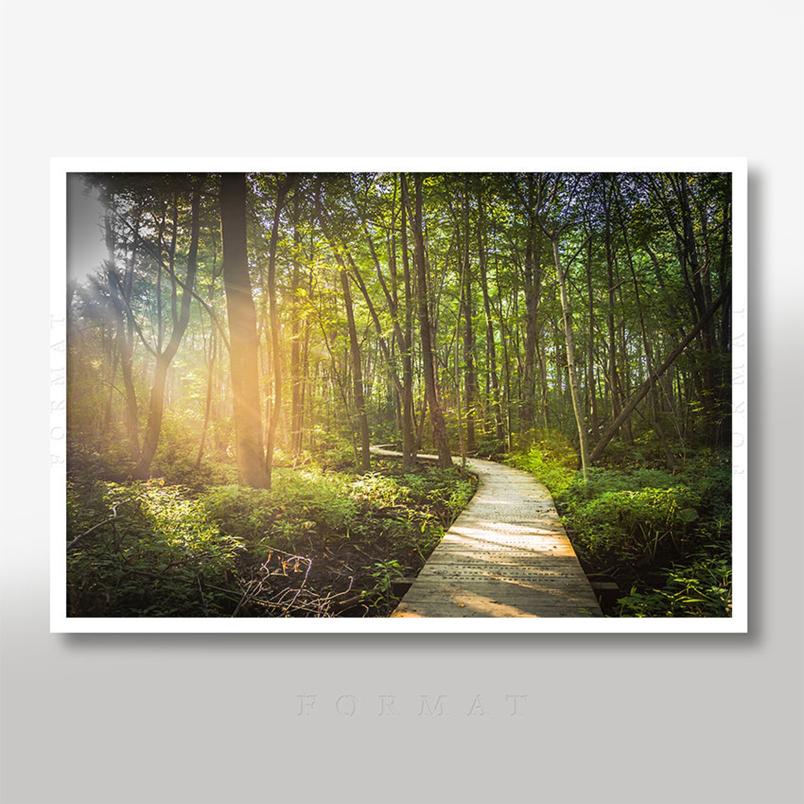 HEAVENLY PATH, Nature Photography, Walk in the Woods, Into the Wild ...