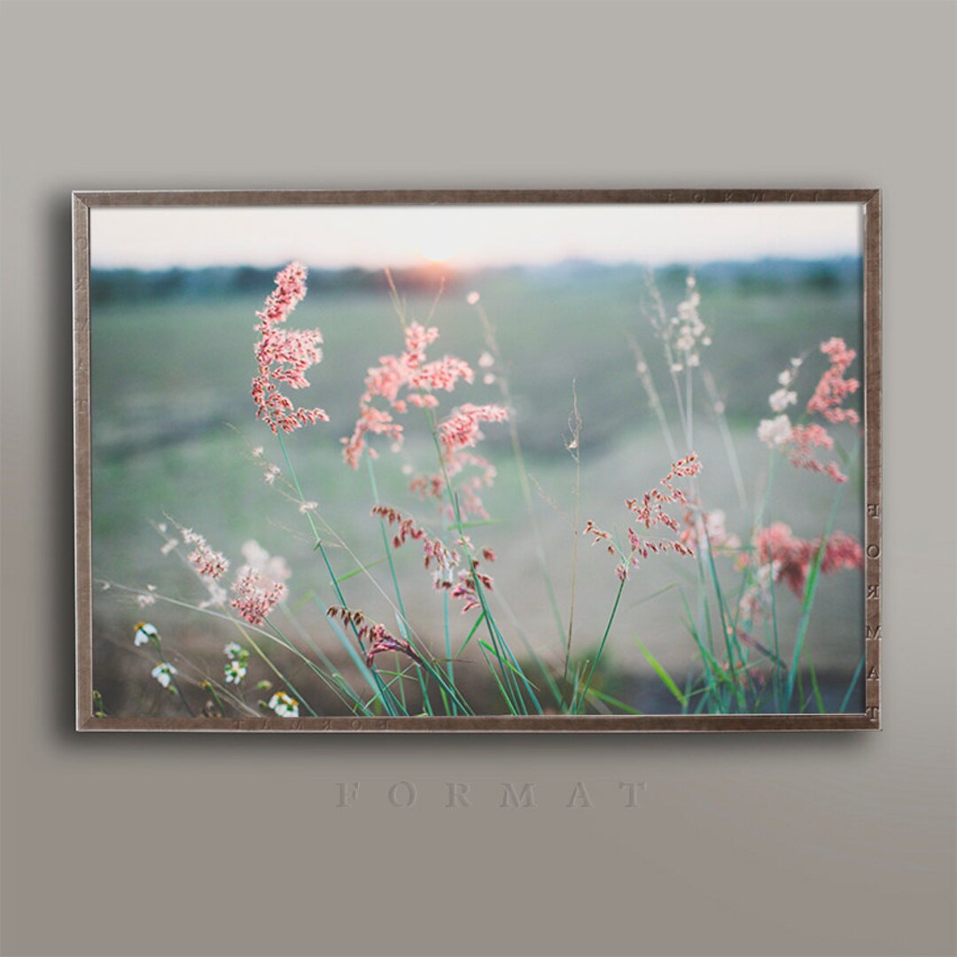 DAINTY FLOWERETTES, Floral Photo, Flower Photography, Rain Drops, Grass ...