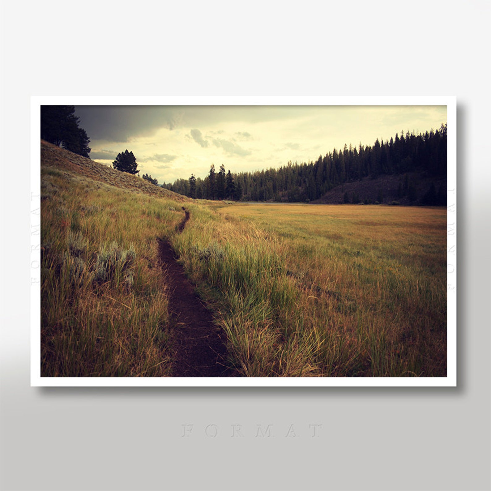 NATURE TRAIL, Autumn Path, Hiking, Fine Art Prints, Landscape Images ...