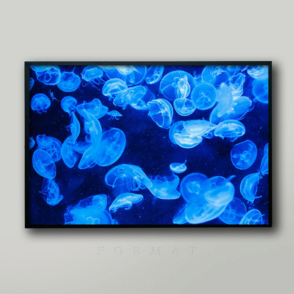 JELLYFISH ART Nautical Art Beach Decor Coastal Chic Ocean - Etsy