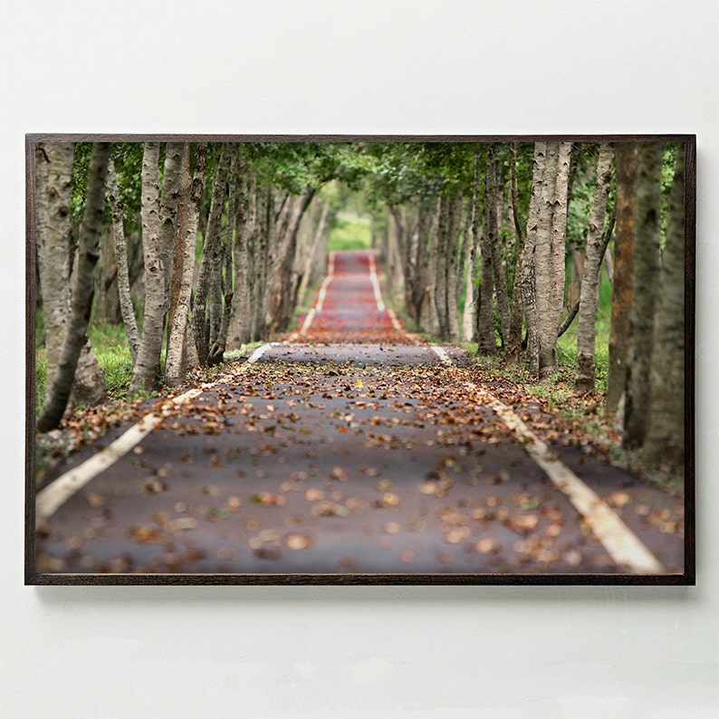 ROAD TRIP, WANDERLUST, Autumn, Autumn Leaves, Path, Lonely Road, Tree ...