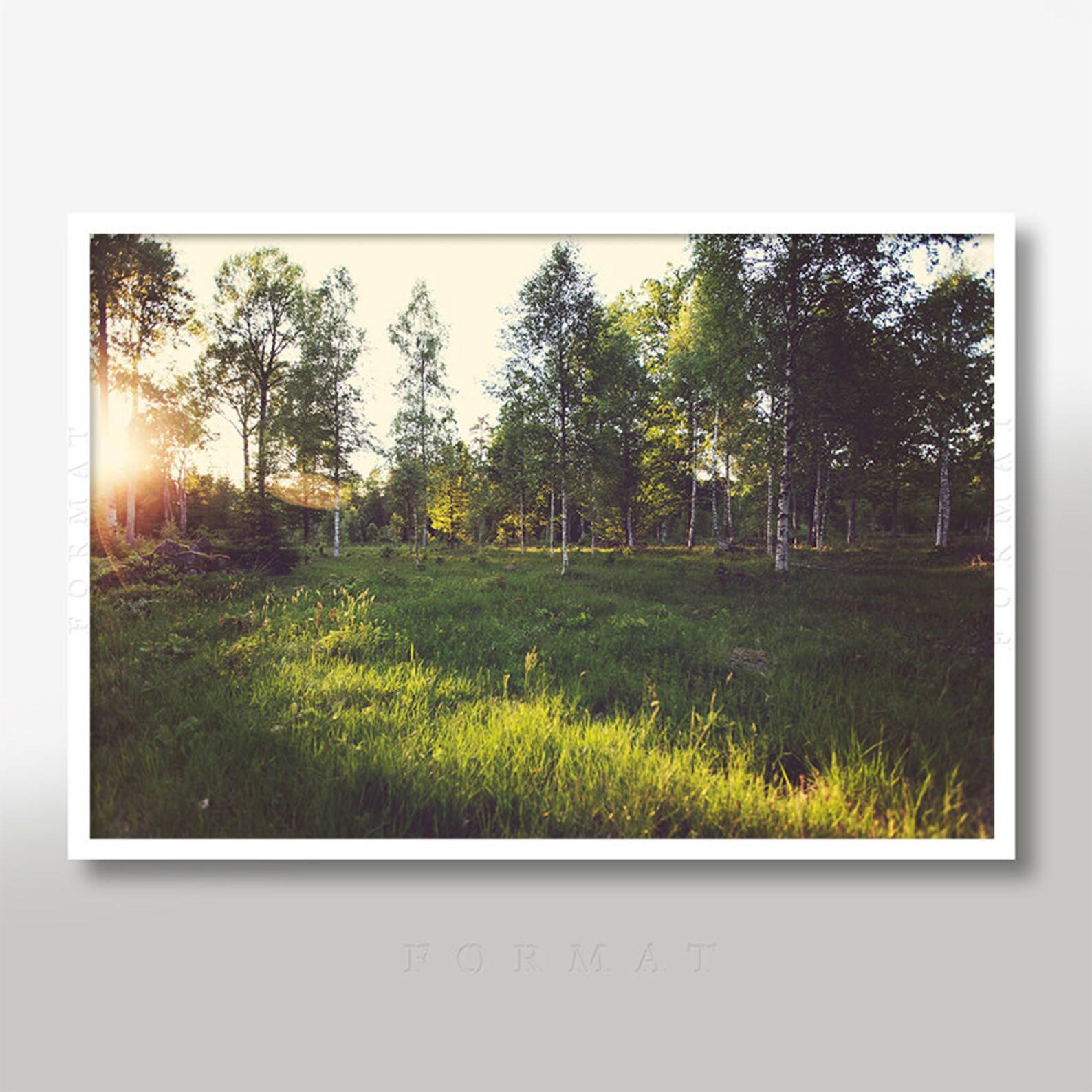 FADING DAYLIGHT, End of Summer, Nature Photo, Landscape Photography ...