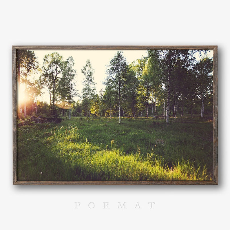 FADING DAYLIGHT, End of Summer, Nature Photo, Landscape Photography ...