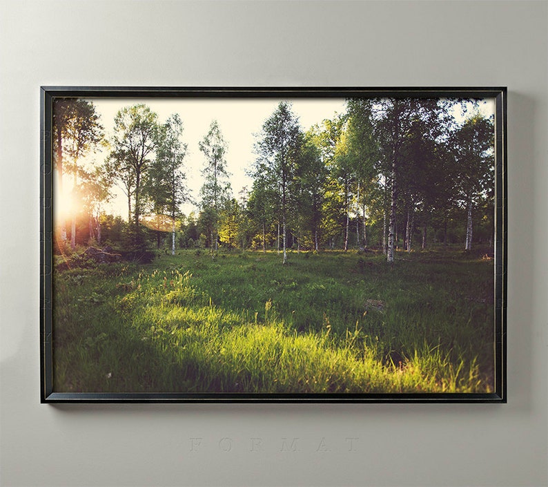 FADING DAYLIGHT, End of Summer, Nature Photo, Landscape Photography ...