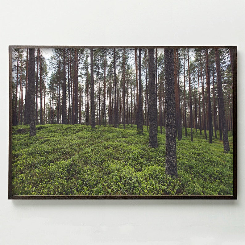 TALL TREES, Nature Prints, Landscape Prints, Big Prints, Large Prints ...