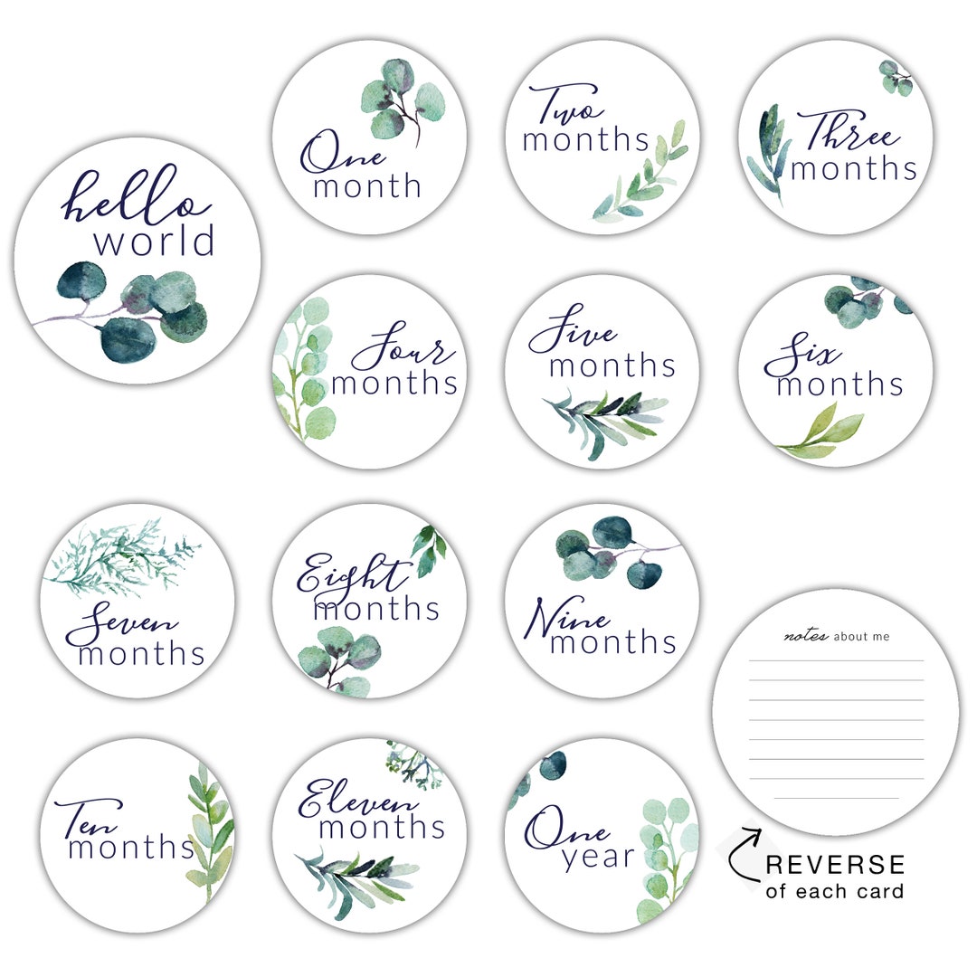 Round Baby Milestone Cards Eucalyptus - Etsy