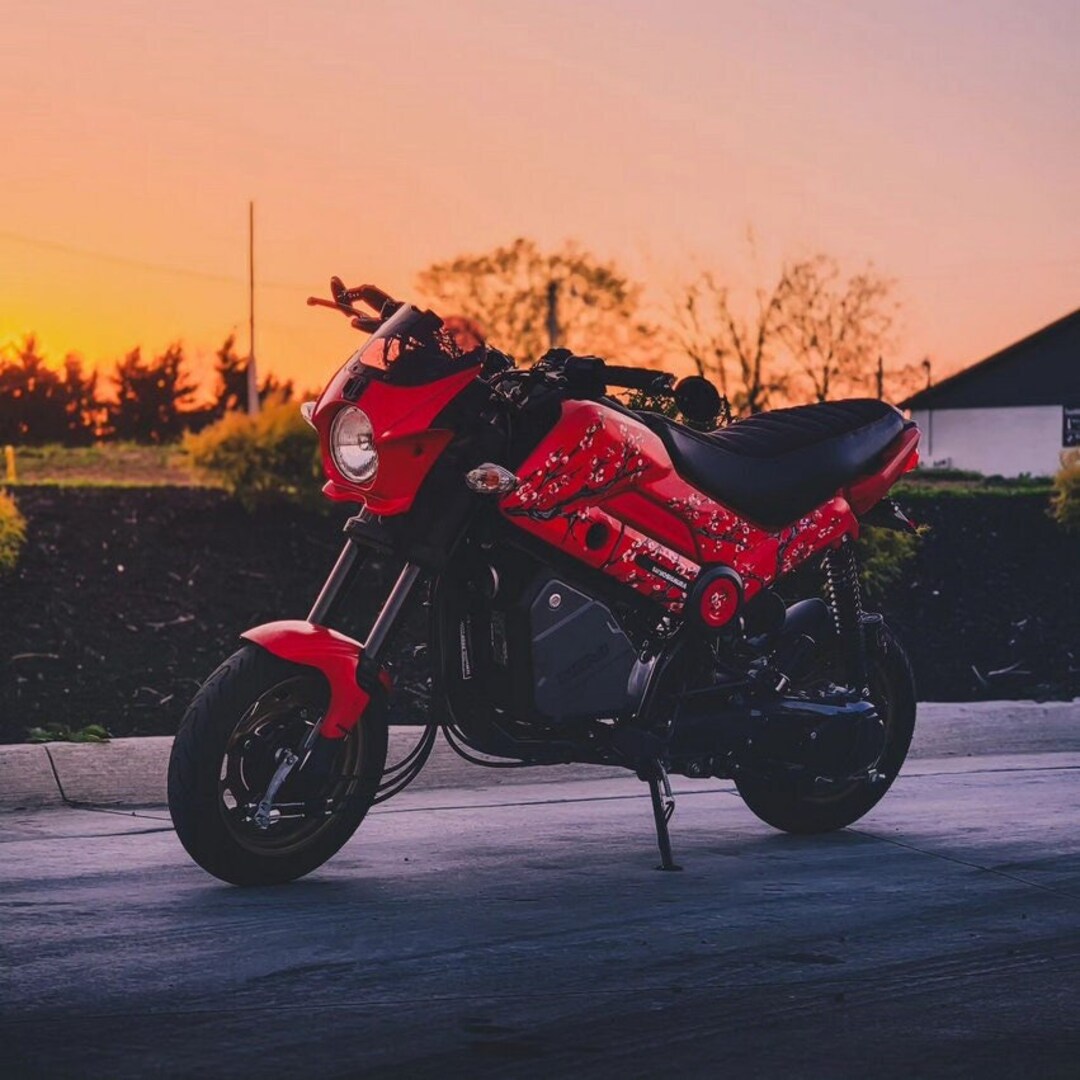 Full Graphic Decal Set Blossom Tree Red 2022 Honda Navi Graphics Kit ...
