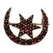 Antique 1910s Rose Cut Bohemian Garnet Star and Crescent Moon Cluster ...