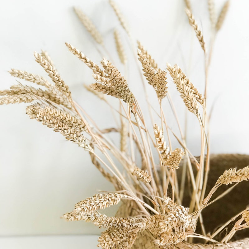 Wheat Bouquet - Etsy