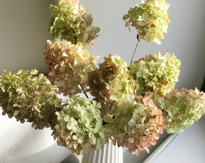 Dried Hydrangea 9 Stems, Chic Home Decor, Dried Hydrangea Flower, Make ...