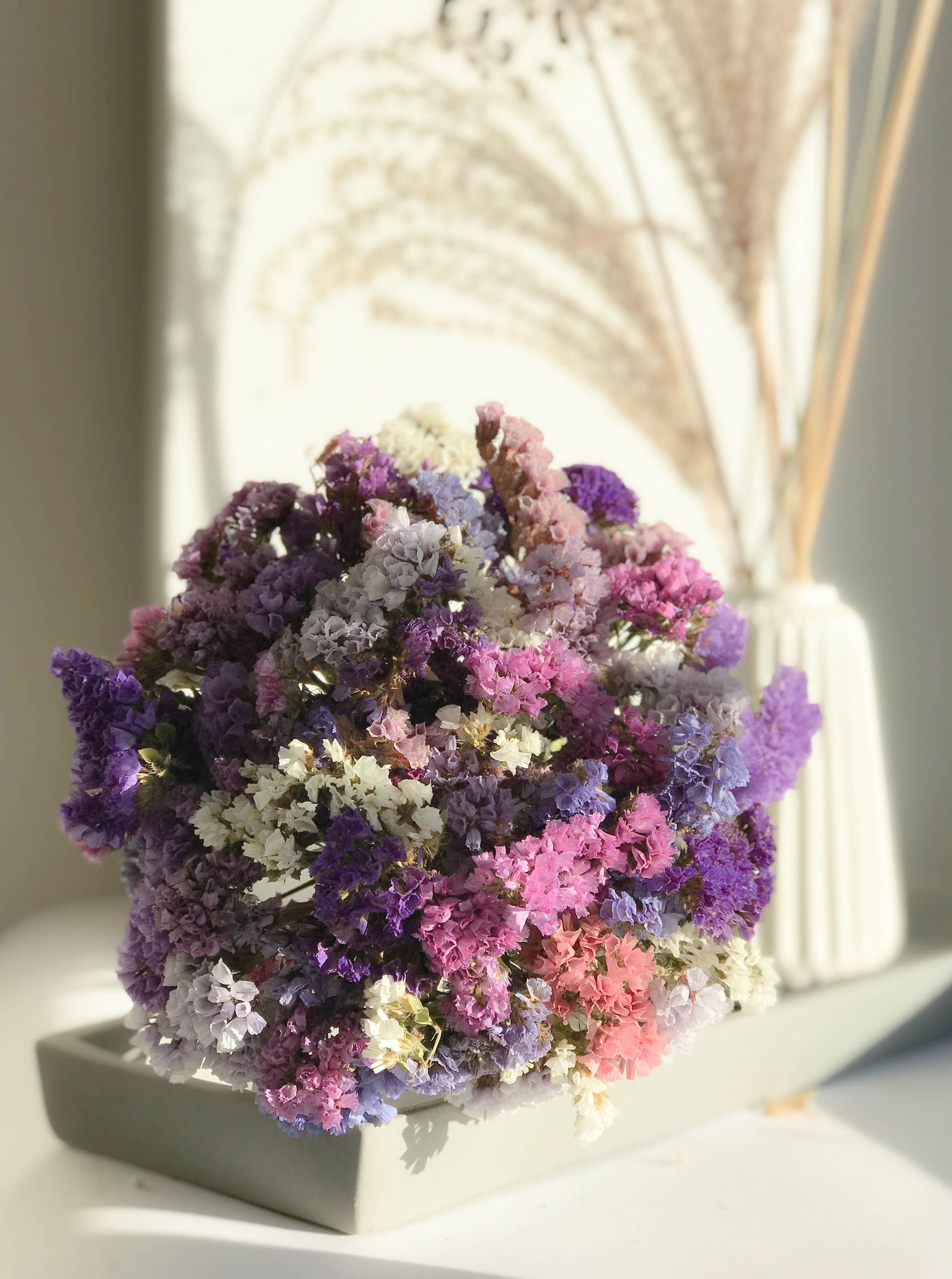 Dried Limonium Flowers, Color Mix Statice, Dried Limonium Flower ...