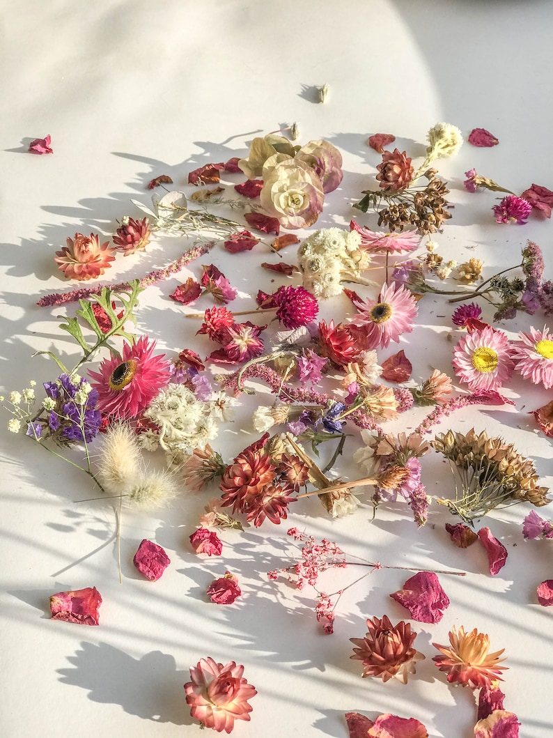 Resin Filler Tiny Dry Flower DIY Flower Dry Flower Head | Etsy