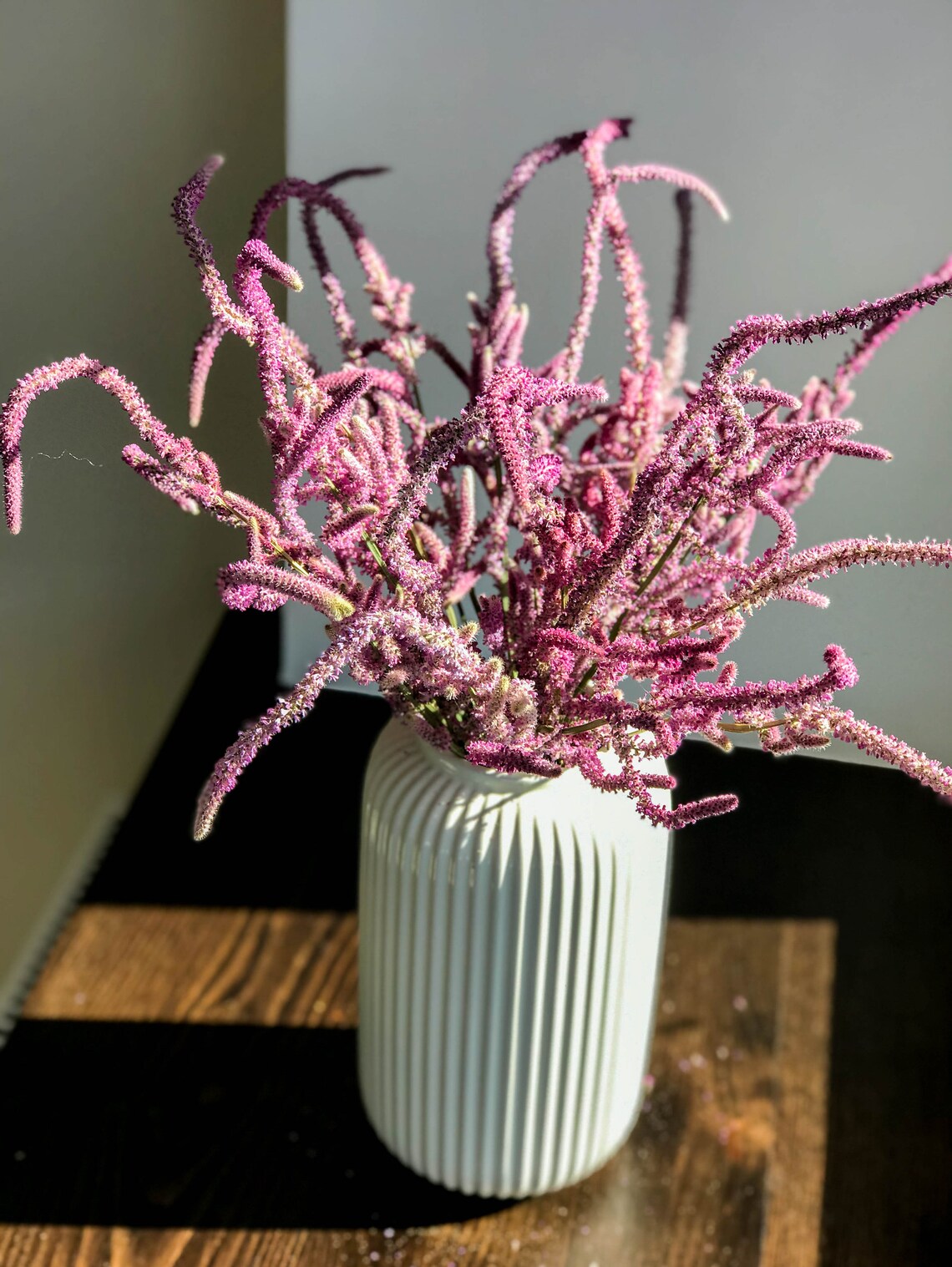 Dried Statice Flower Dry Satice Suworowii Dried Limonium - Etsy