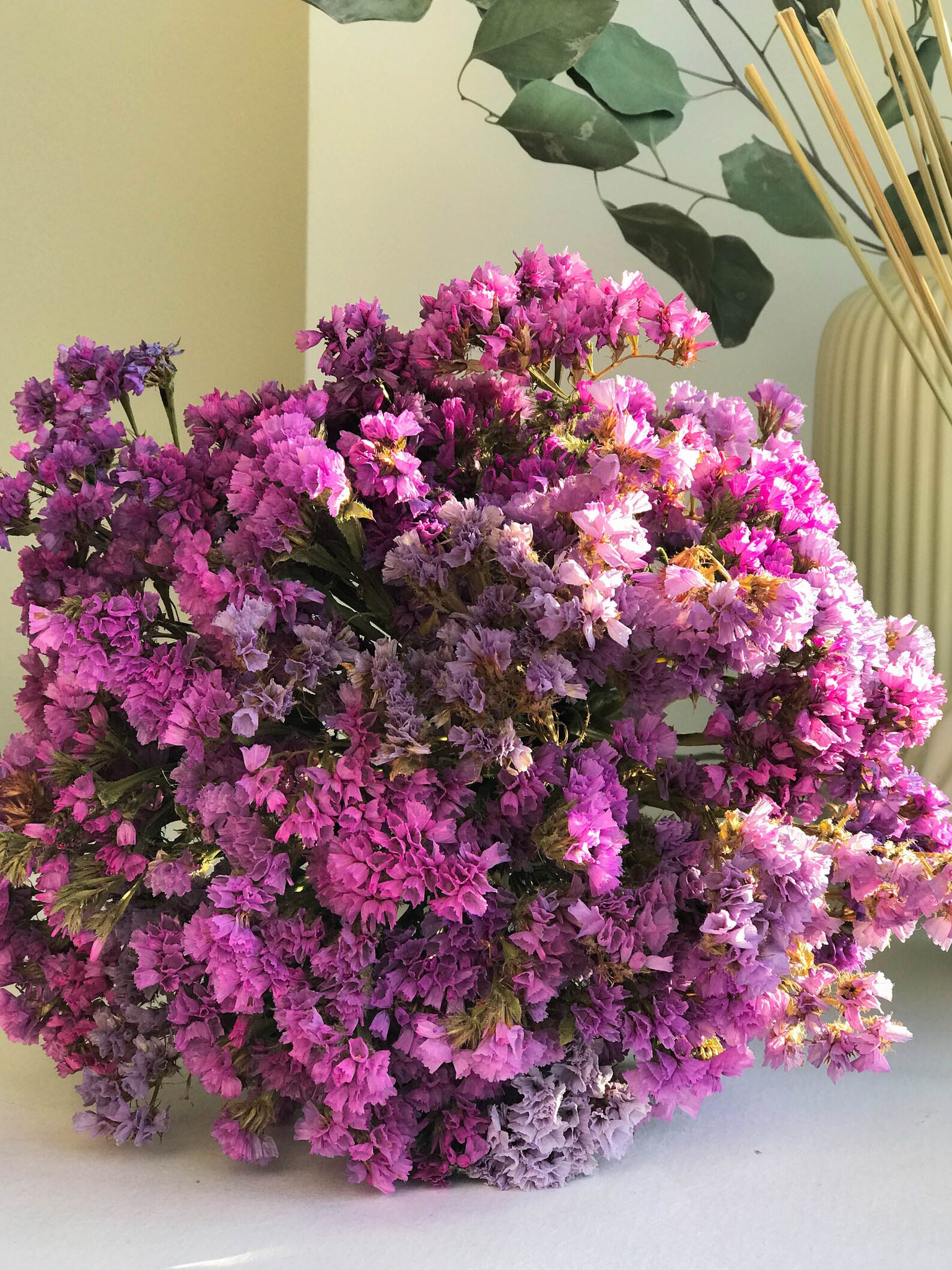 Dried Limonium Flowers, Preserved Statice Lavender Colors, Dried ...