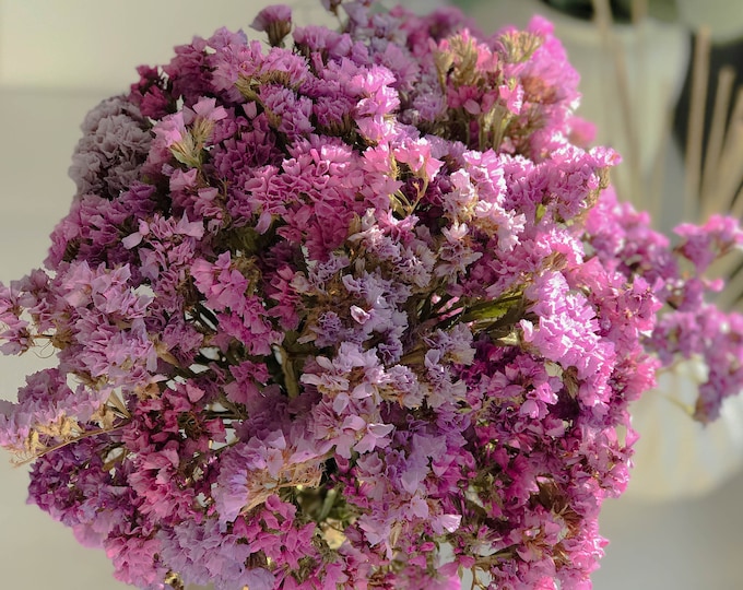 Dried Limonium Flowers Preserved Statice Lavender Colors - Etsy