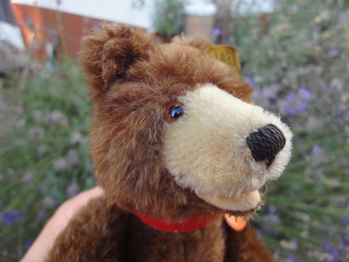 Vintage Steiff Teddy Baby All Id's Steiff Button Chest Tag Dated 1950's ...