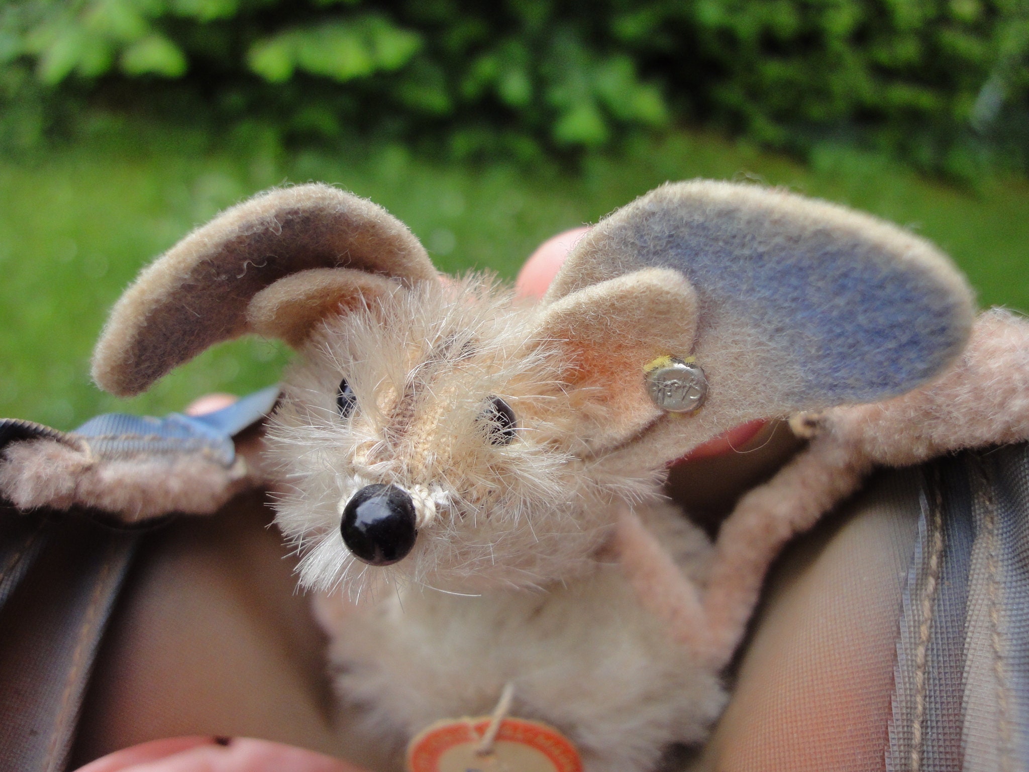 Old Steiff Animal Bat Eric Only 1960-1962 Steiff Button Sign Sweet - Etsy