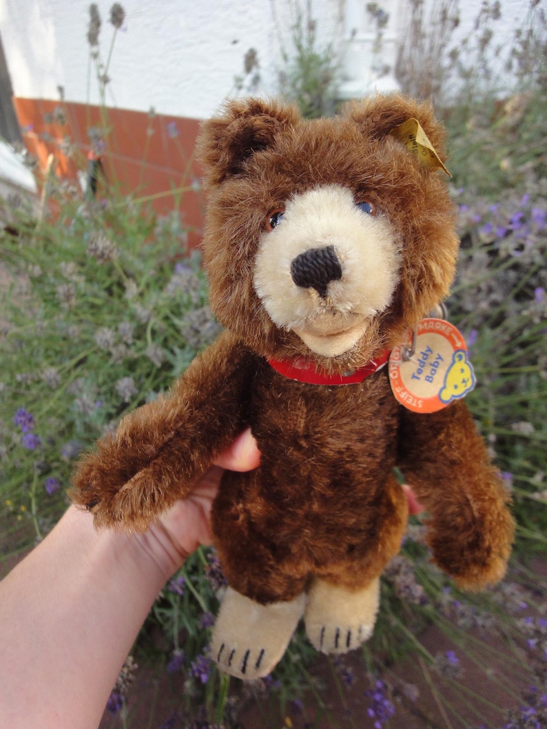 Vintage Steiff Teddy Baby All Id's Steiff Button Chest Tag Dated 1950's ...