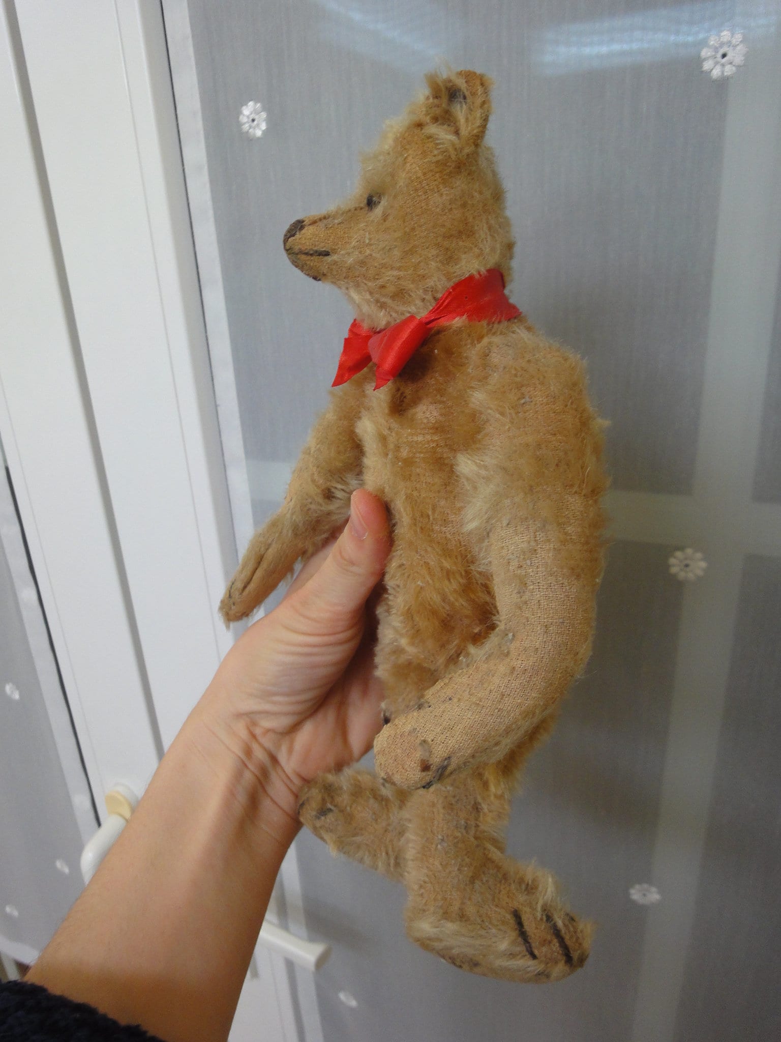 Antique Steiff Teddy Bear Around 1920 With Steiff Button Mohair Shoe ...