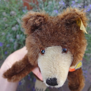 Vintage Steiff Teddy Baby All Id's Steiff Button Chest Tag Dated 1950's ...