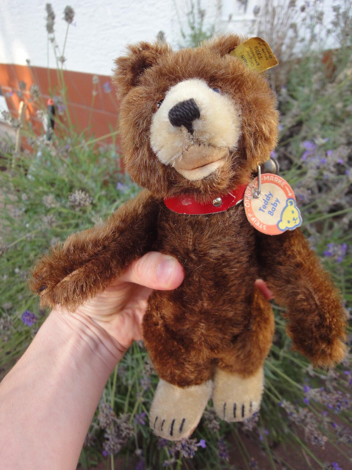 Vintage Steiff Teddy Baby All Id's Steiff Button Chest Tag Dated 1950's ...