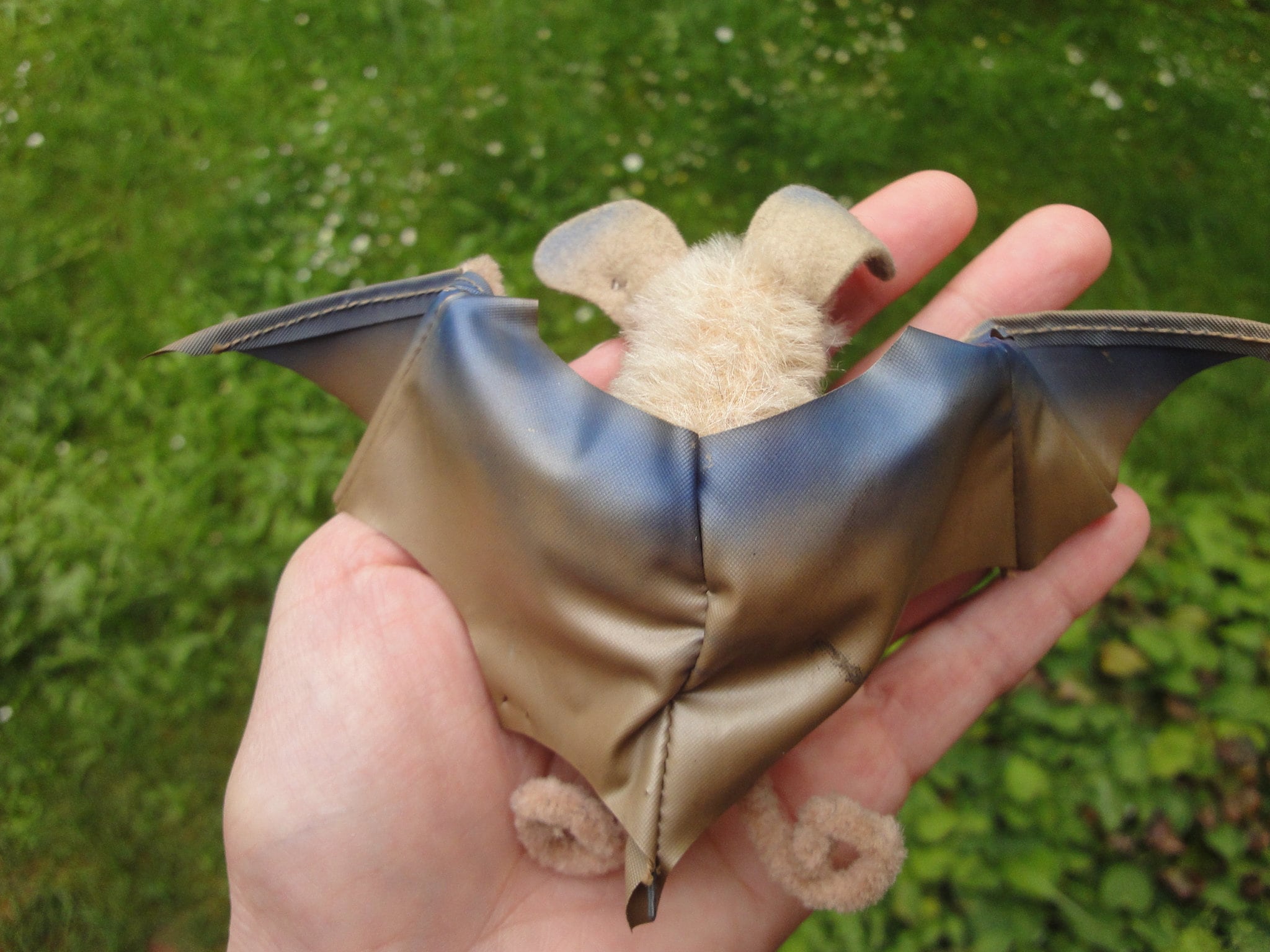 Old Steiff Animal Bat Eric Only 1960-1962 Steiff Button Sign Sweet - Etsy