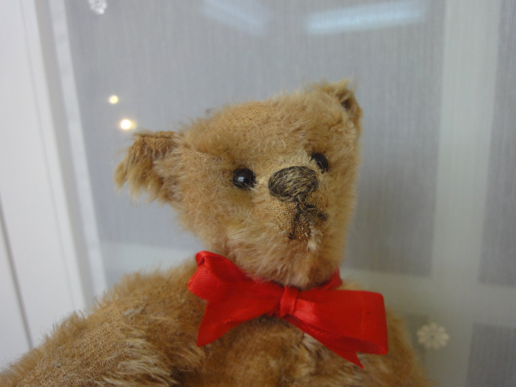 Antique Steiff Teddy Bear Around 1920 With Steiff Button Mohair Shoe ...