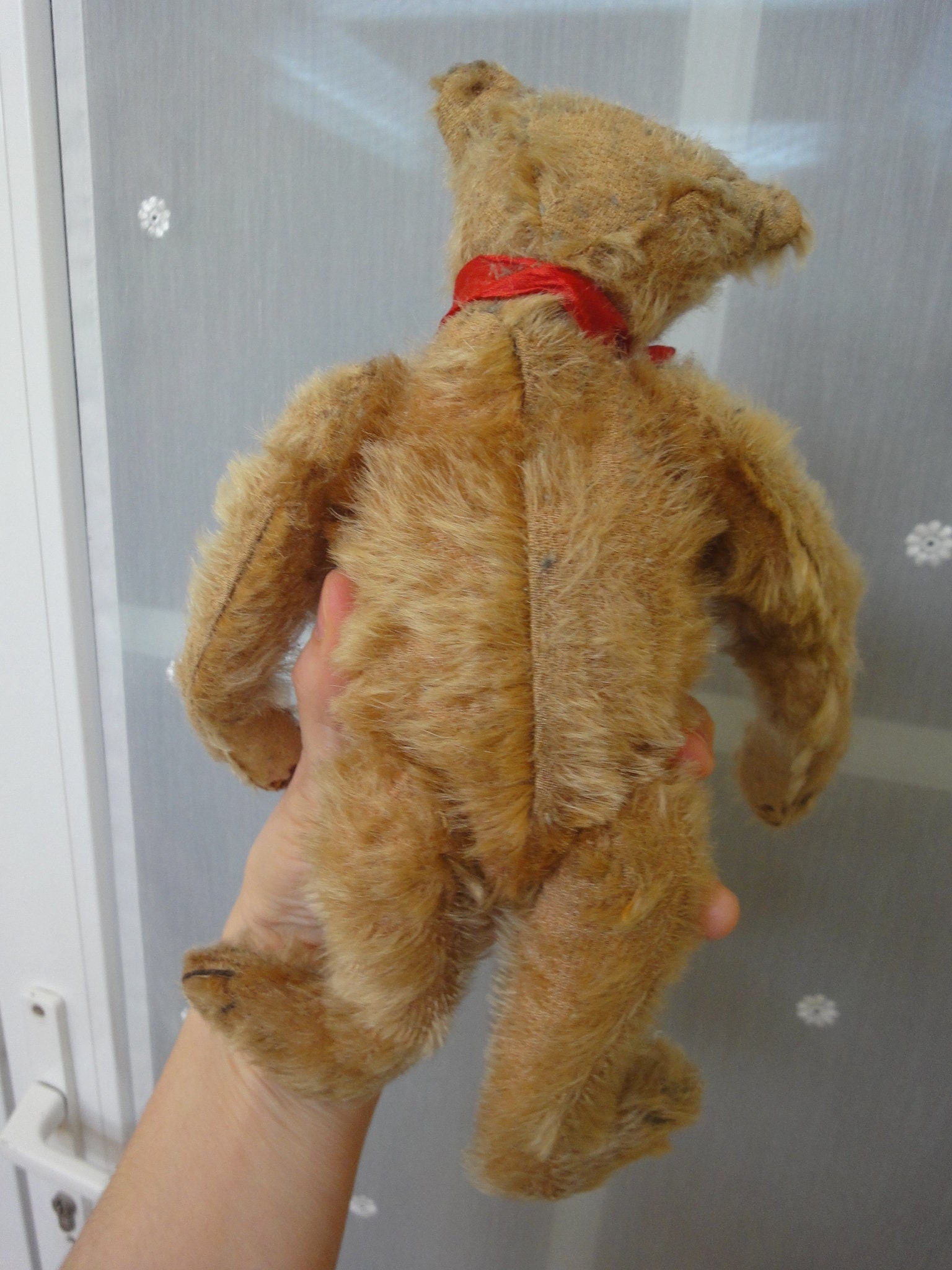 Antique Steiff Teddy Bear Around 1920 With Steiff Button Mohair Shoe ...