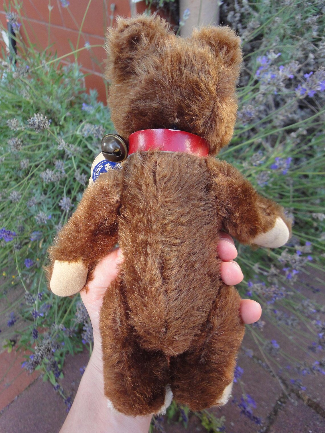 Vintage Steiff Teddy Baby All Id's Steiff Button Chest Tag Dated 1950's ...