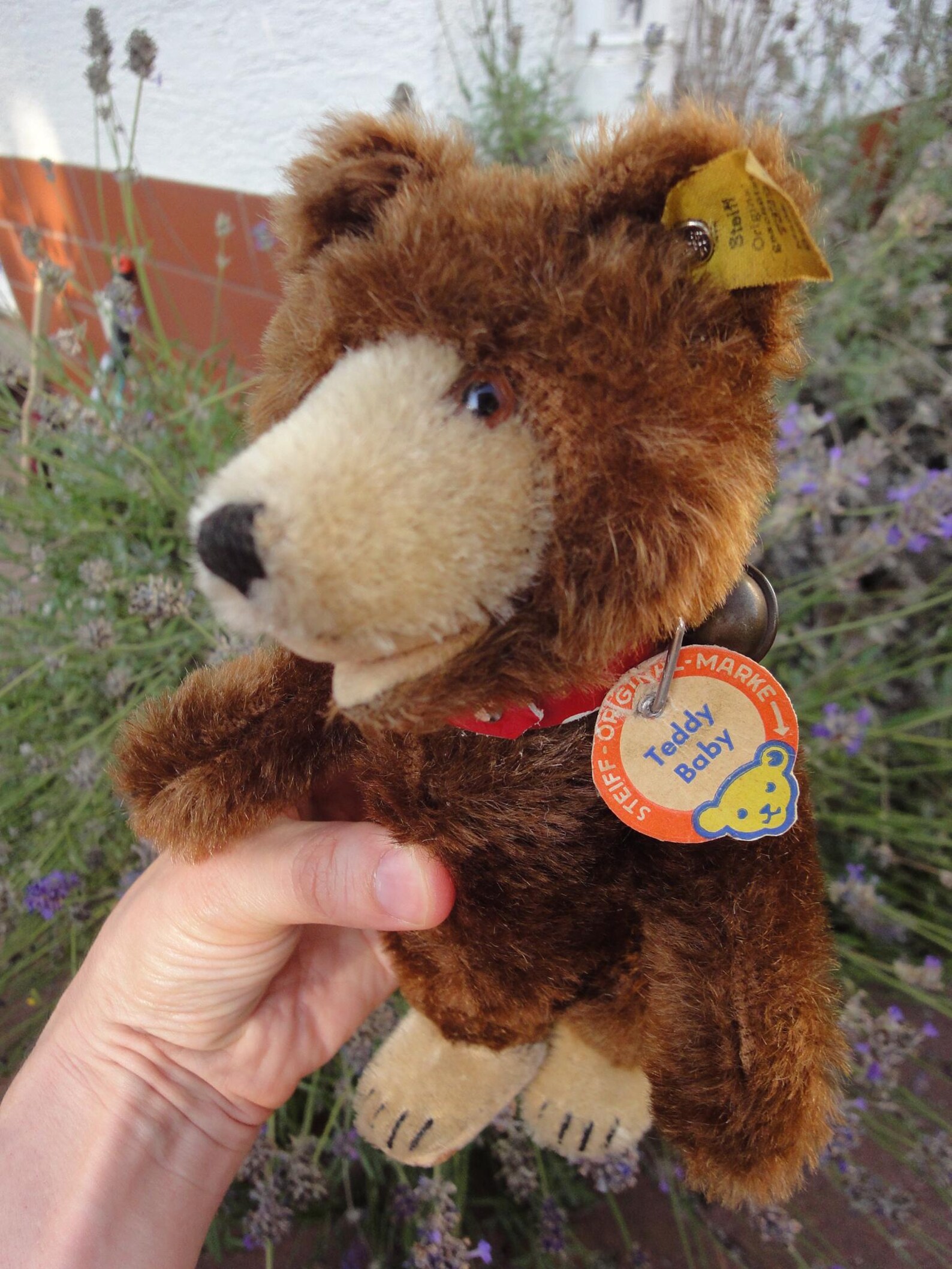 Vintage Steiff Teddy Baby All Id's Steiff Button Chest Tag Dated 1950's ...