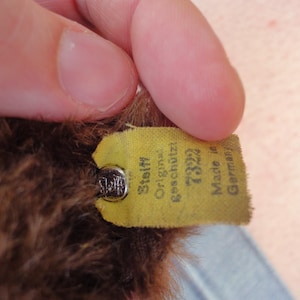 Vintage Steiff Teddy Baby All Id's Steiff Button Chest Tag Dated 1950's ...