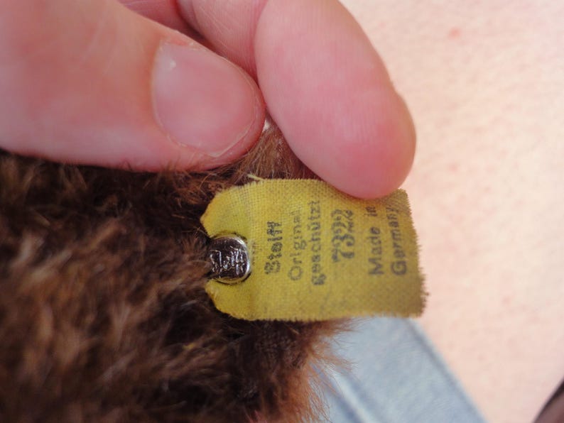 Vintage Steiff Teddy Baby All Id's Steiff Button Chest Tag Dated 1950's ...