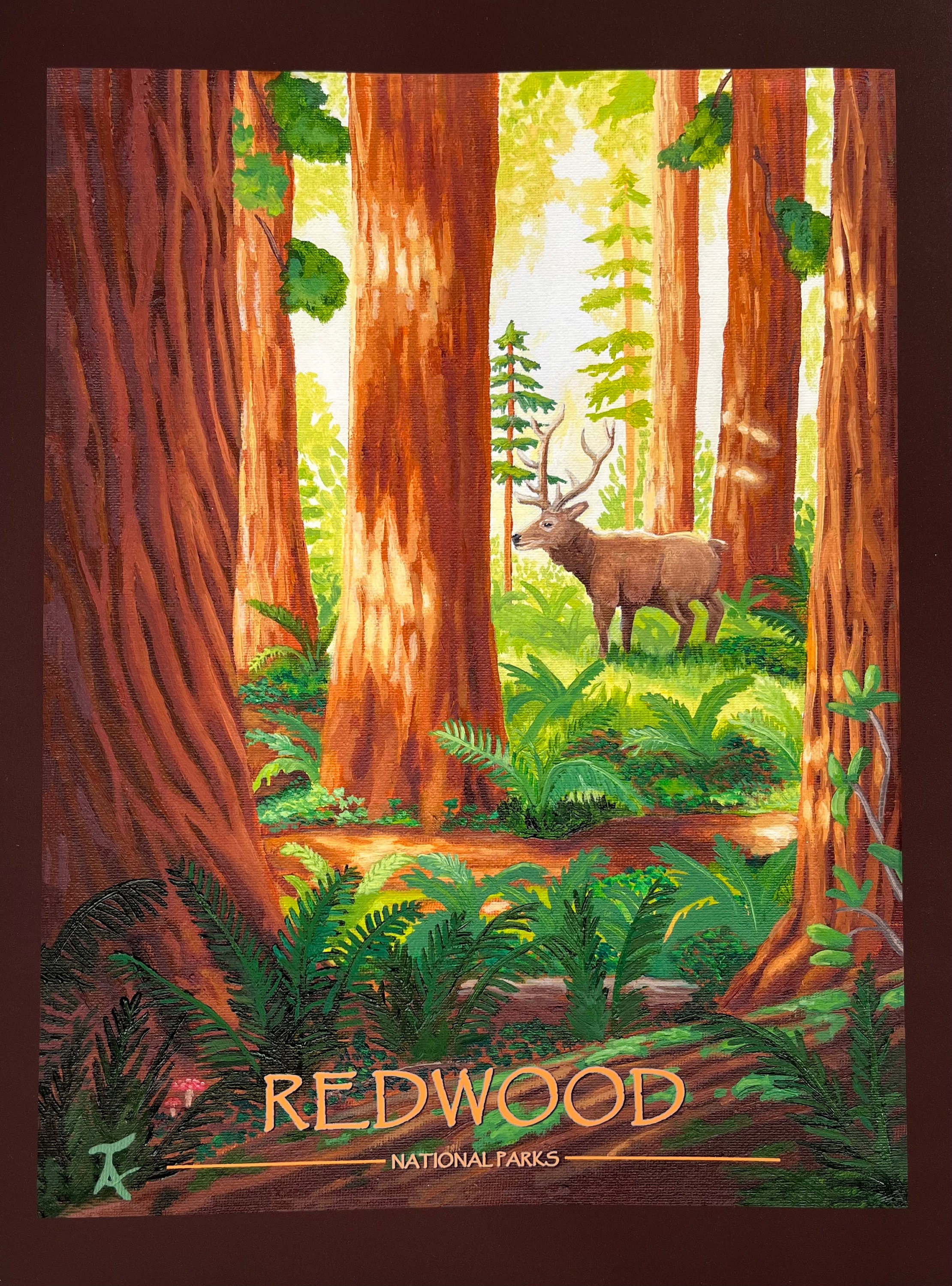 Redwood National Parks Poster - Etsy
