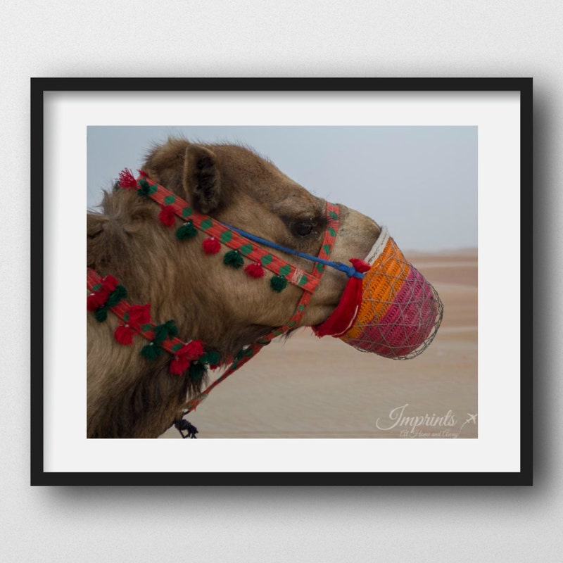 Camel Prints - Etsy