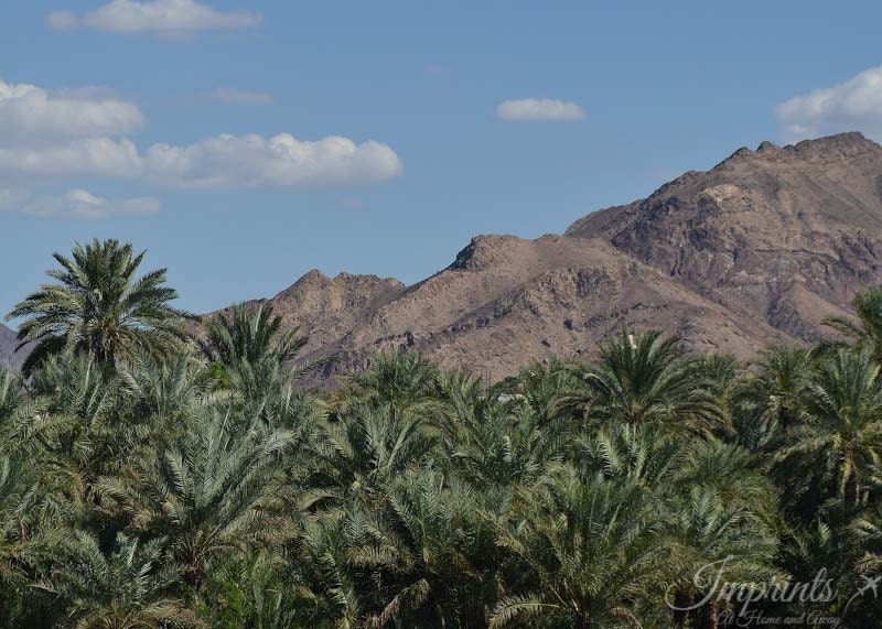 Middle East Landscape Photography, UAE Print, Hatta Date Palms, Desert ...