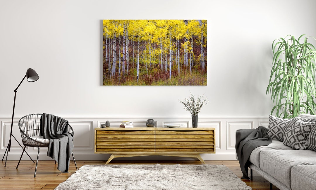 Golden Aspen Forest – Colorado Fall Print – Aspen Autumn Wall Art - Etsy