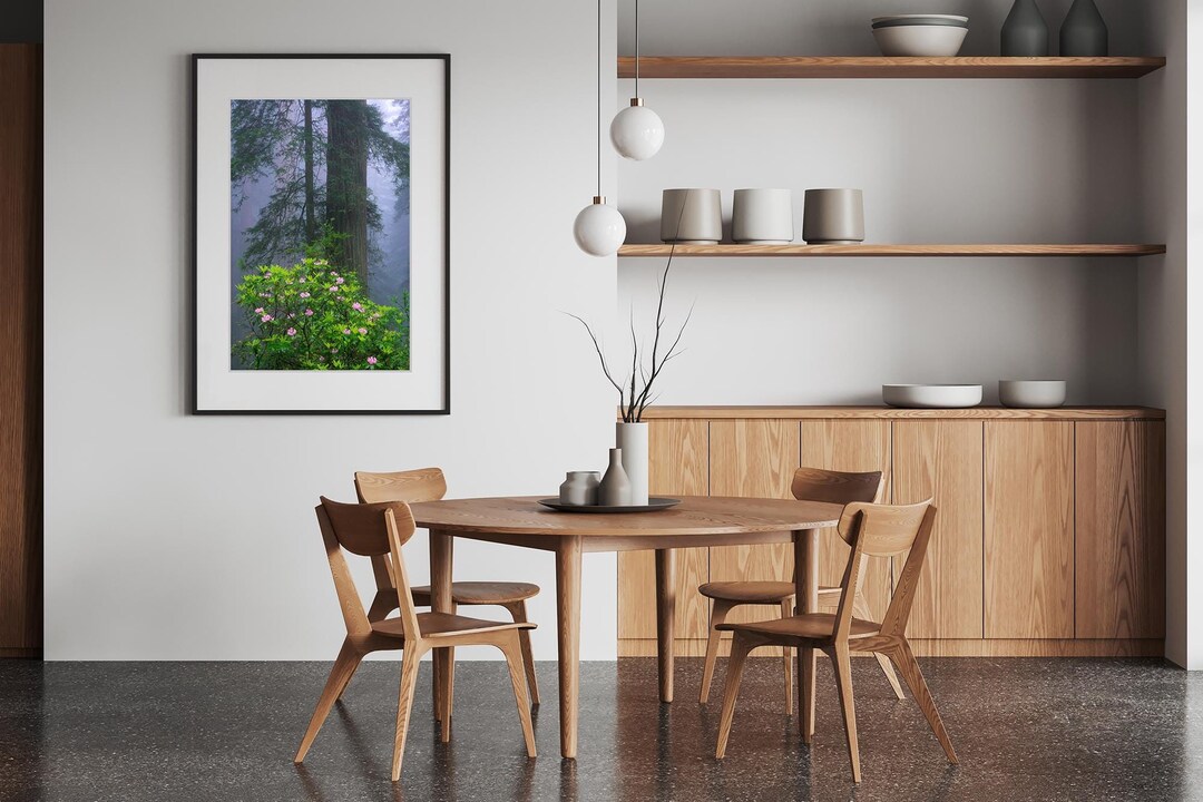 California Redwoods Photography, Large Wall Art, Pacific Northwest ...