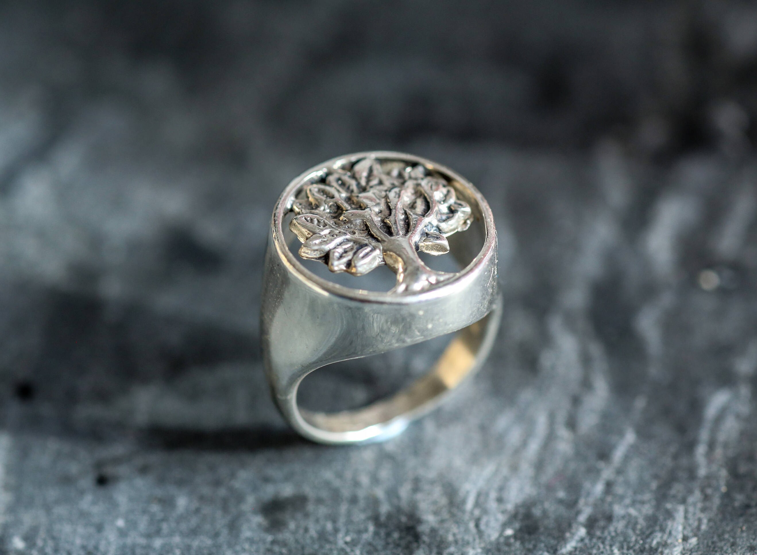 Tree Ring Tree of Life Ring Round Silver Ring Statement | Etsy