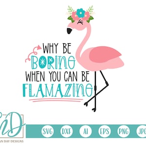 Flamingo SVG, Why Be Boring, Be Flamazing, Pink Flamingo SVG, Summer ...