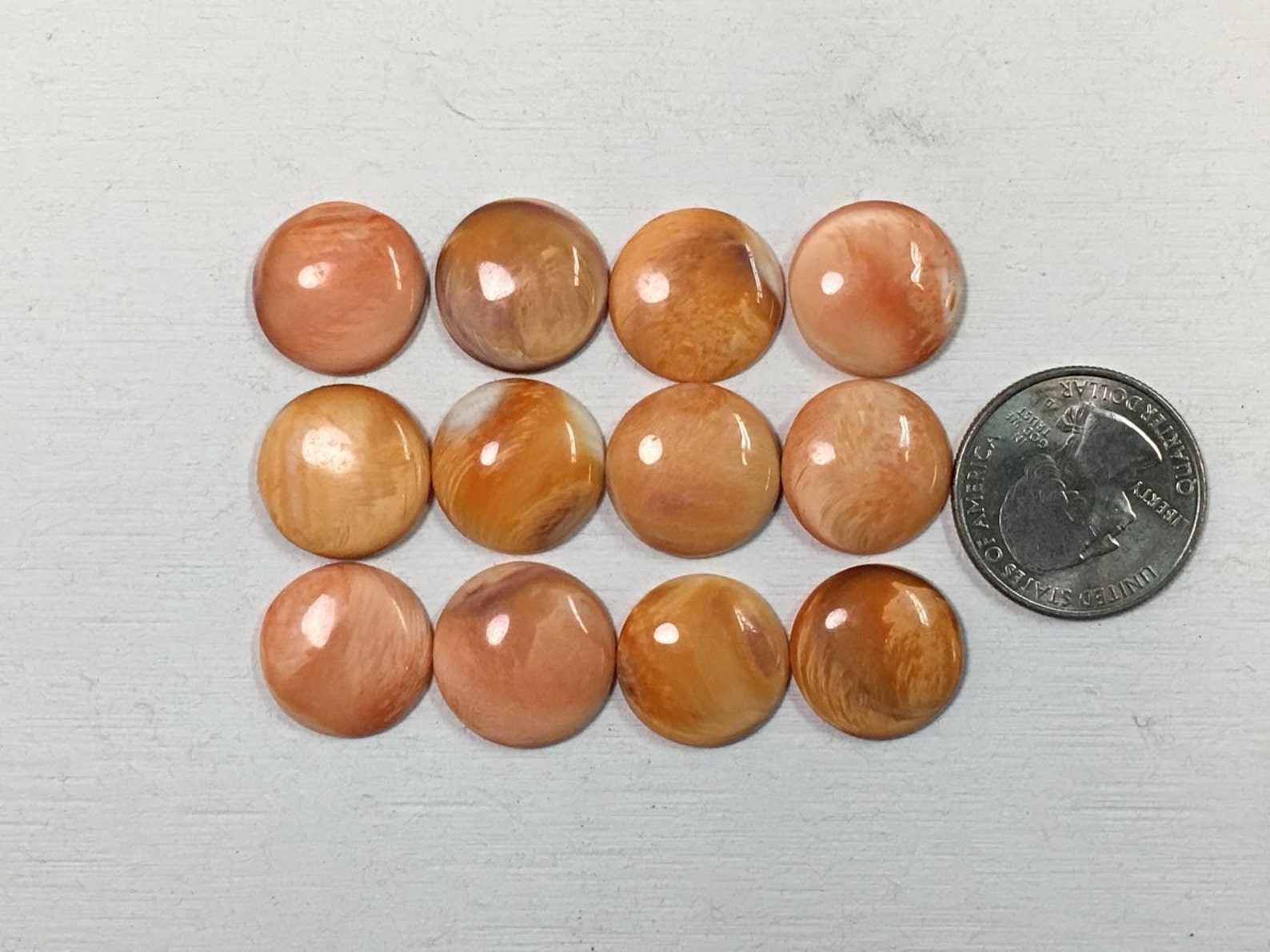 16mm Orange Spiny Oyster Shell Round Cabochon Price for 2 - Etsy