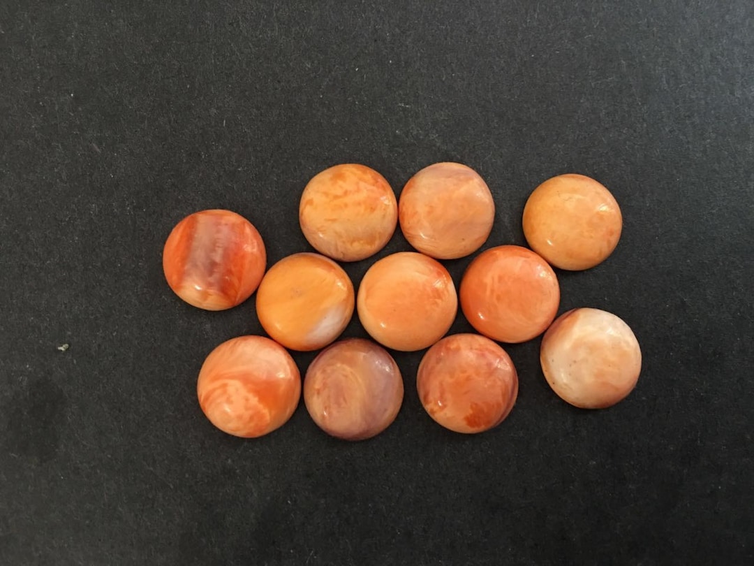 10mm Orange Spiny Oyster Shell Round Cabochon Price for 2 Piece - Etsy