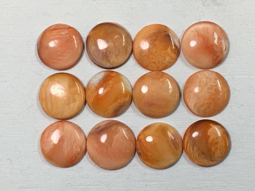 16mm Orange Spiny Oyster Shell Round Cabochon Price for 2 Piece - Etsy