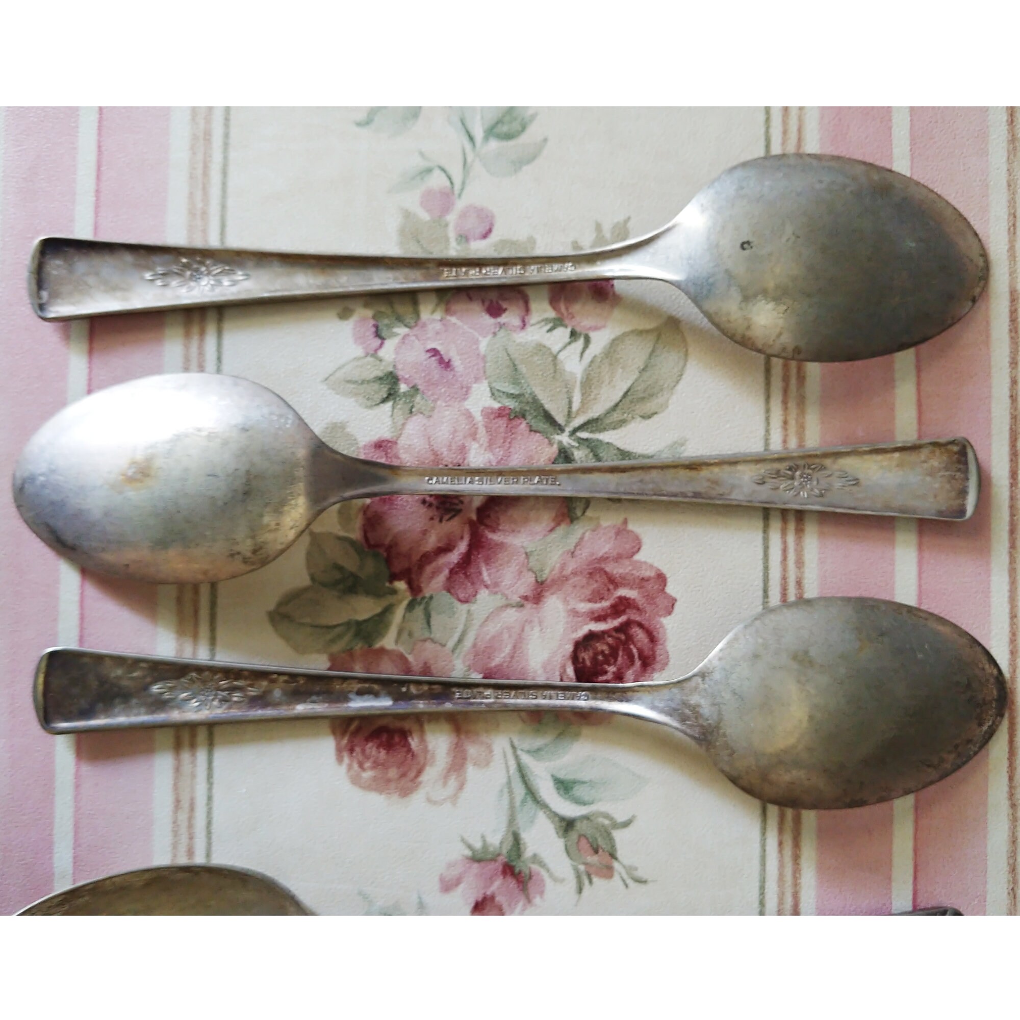 Set of 7 Vintage Silver Plated Teaspoons Camelia Silver | Etsy