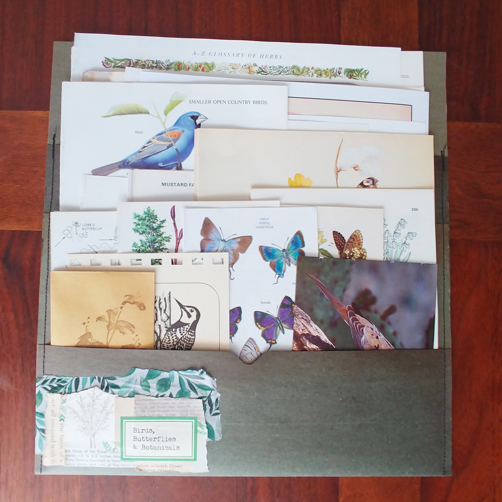Nature Lovers Book Page Pack Birds Butterflies Botanicals - Etsy