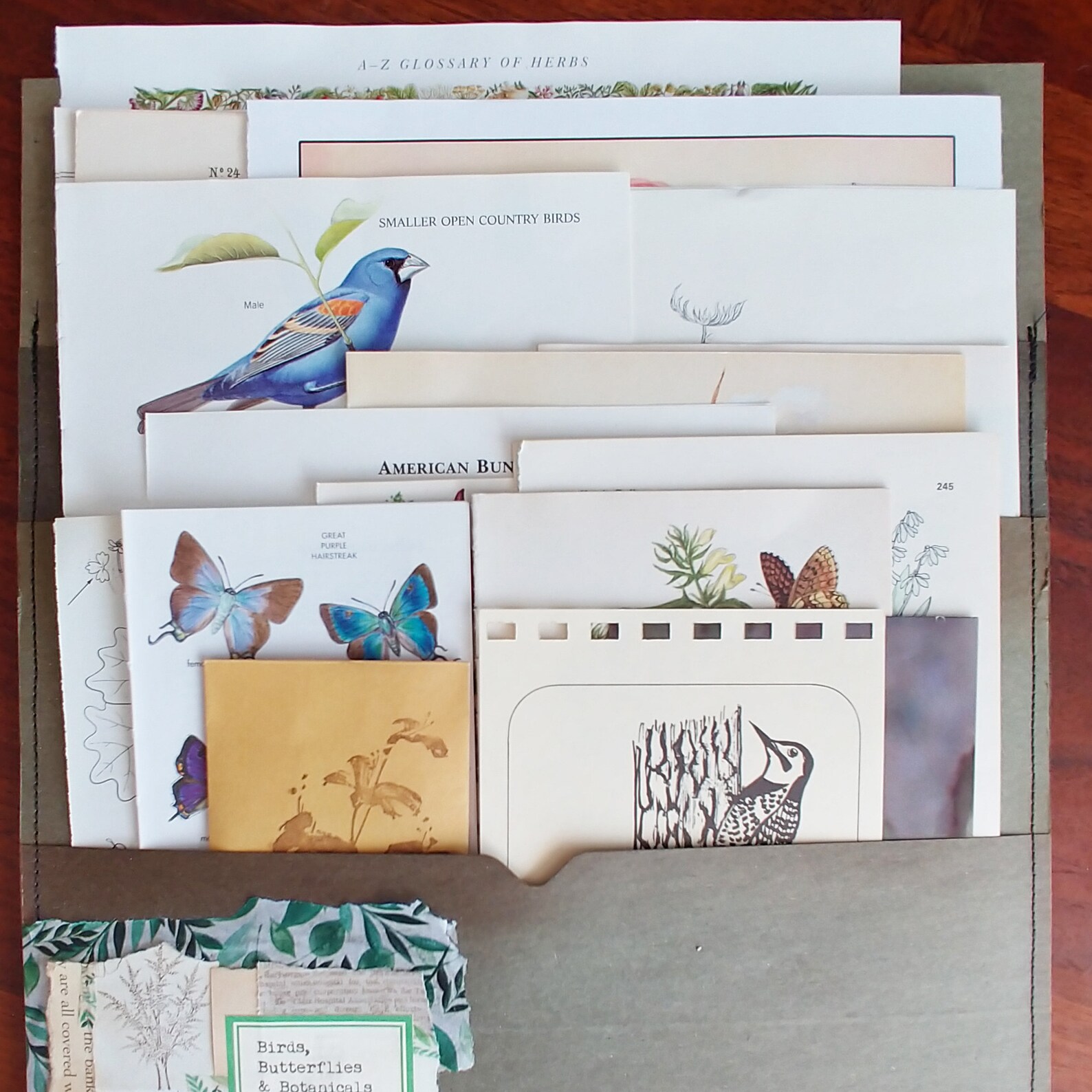 Nature Lovers Book Page Pack Birds Butterflies Botanicals - Etsy