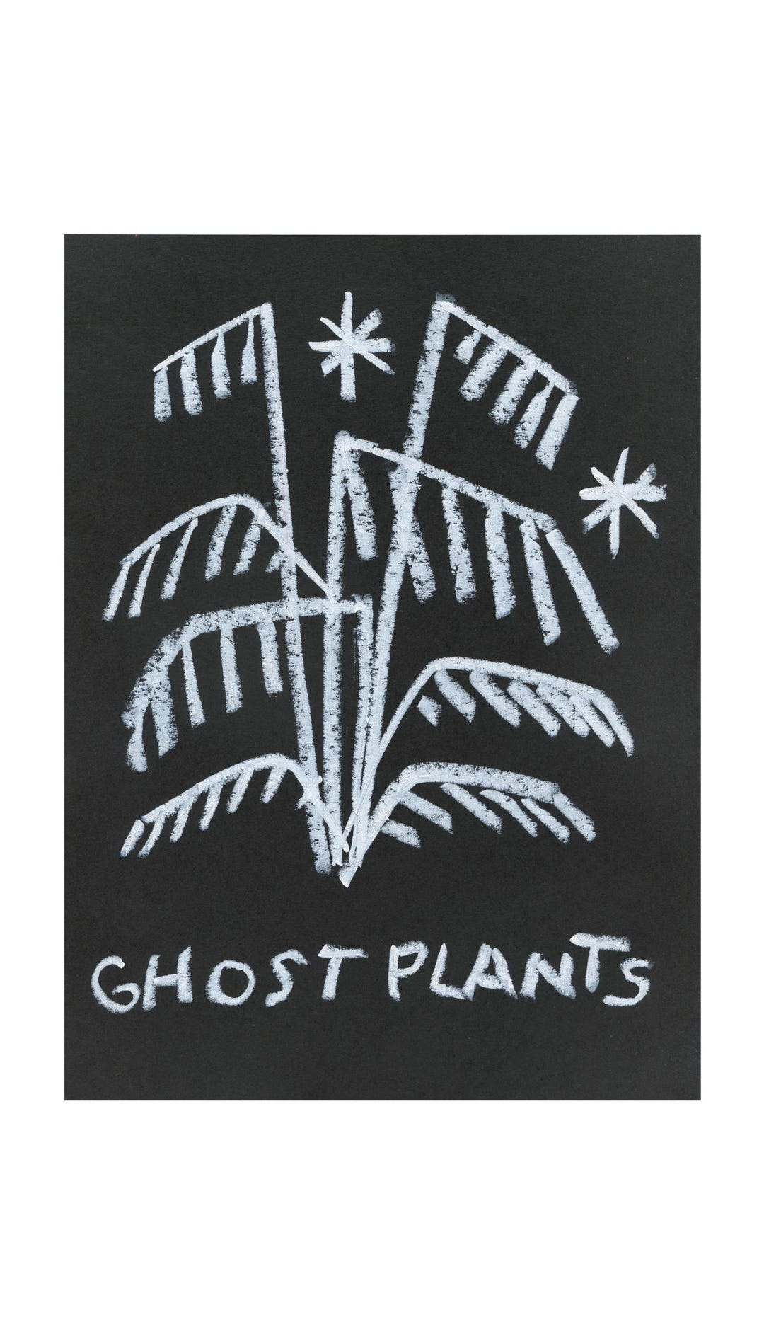 Ghost Plants 2 - Original Drawing - Etsy